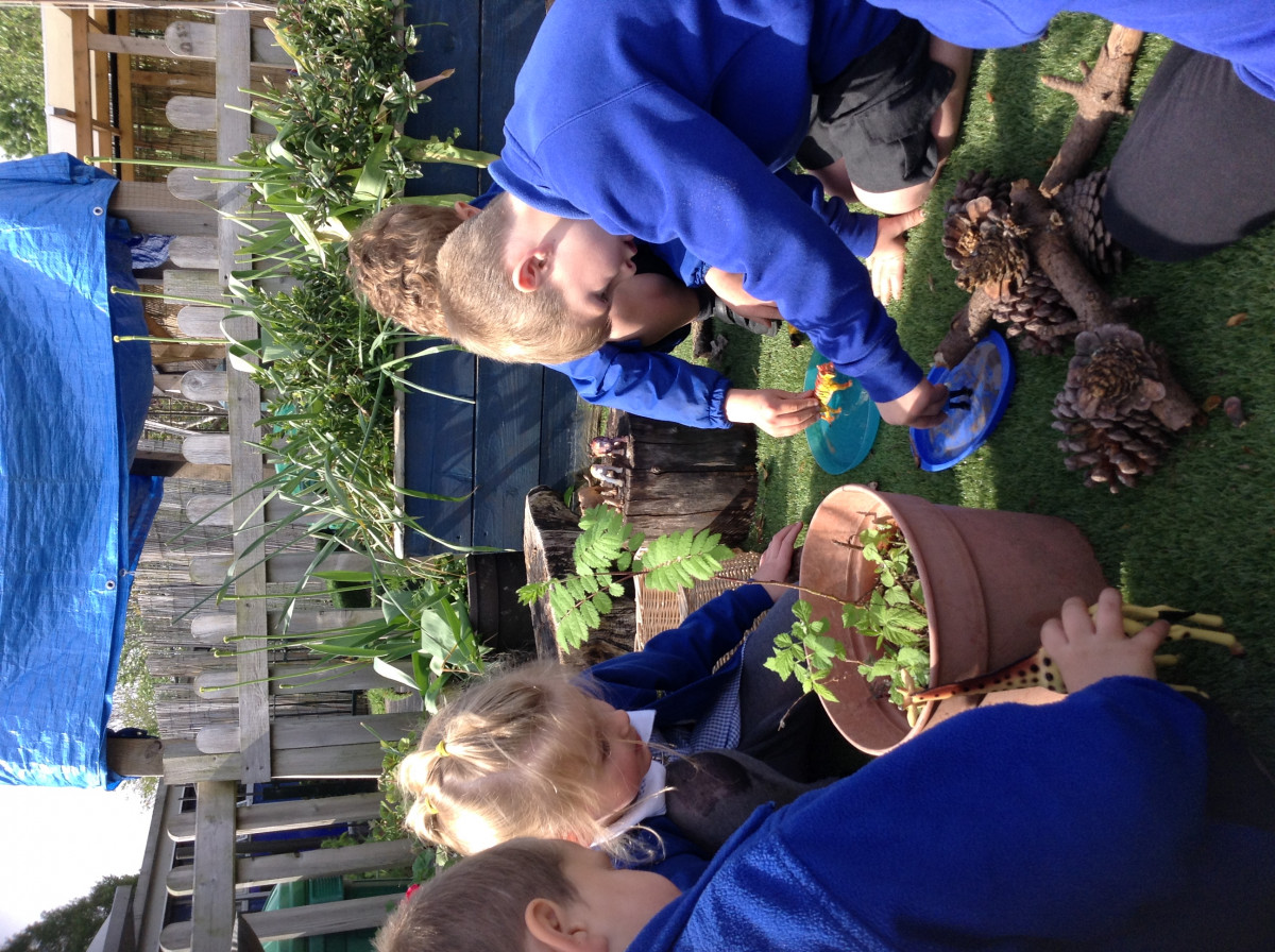 IMG_6882 | Little Stoke Primary School